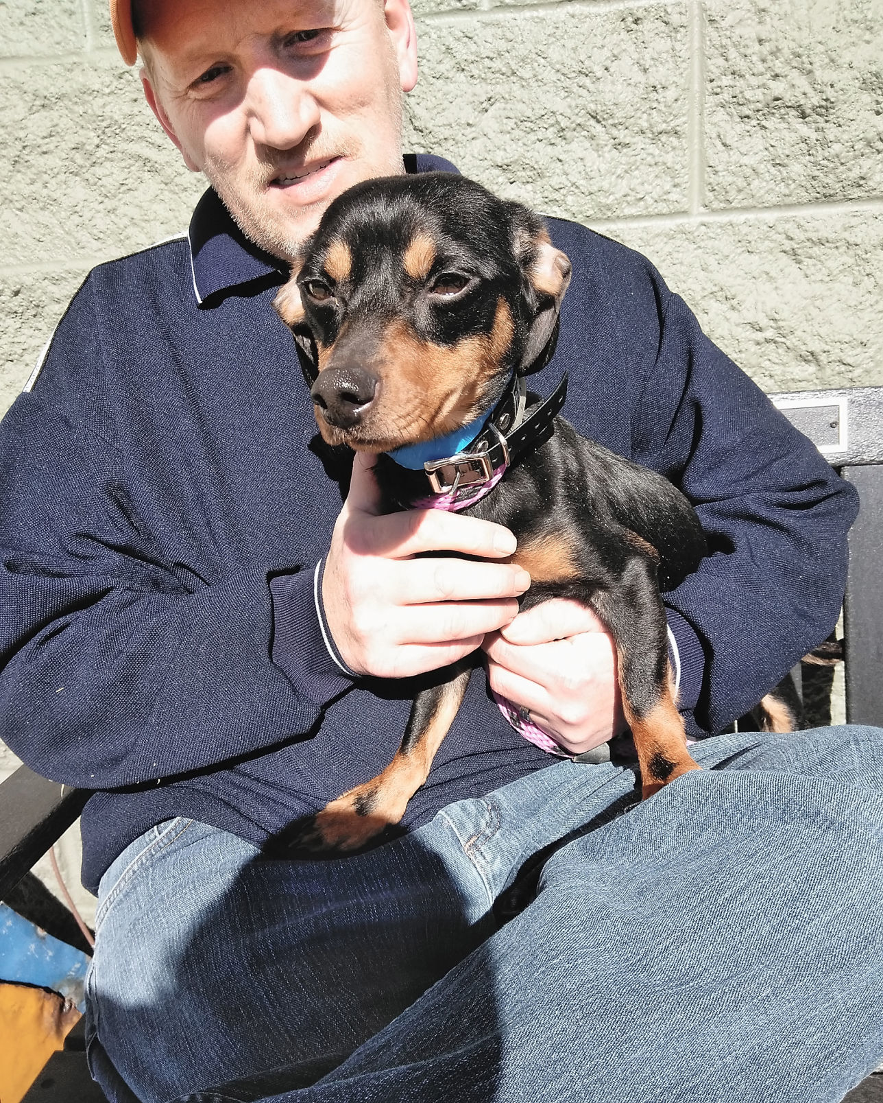 Animals in cruelty case surrendered to Blount County Animal Center ...