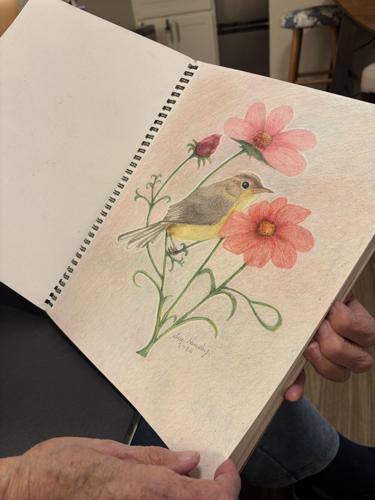 Pencil me in: Passion for art can start at any age | Community ...