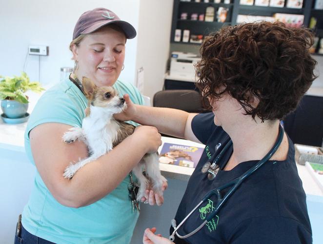 Back in Blount; Dr. Detweiler opens Townsend Animal Clinic | Community ...