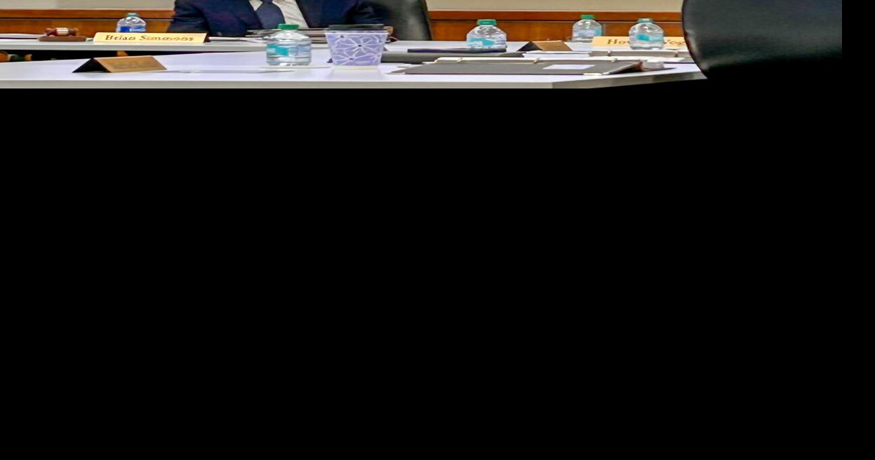 McGhee Tyson talks expansion plans, new gates around 2030 | News ...