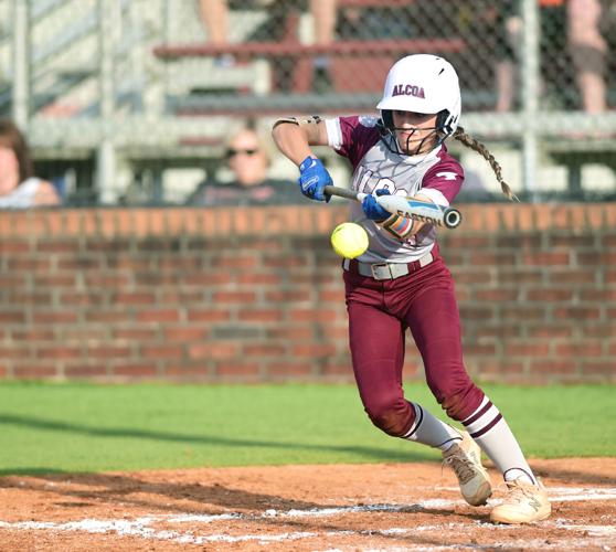 Alcoa softball continues its hunt to repeat, downs Meigs County to ...