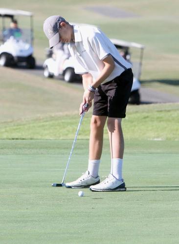 Team bond is greatest asset for Alcoa golf | Sports | thedailytimes.com