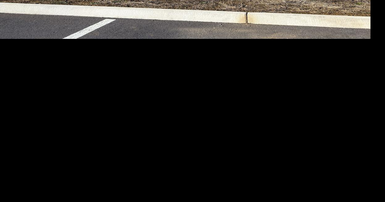 "A tremendous draw:" Alcoa's Springbrook Farm enters 2025 with ...