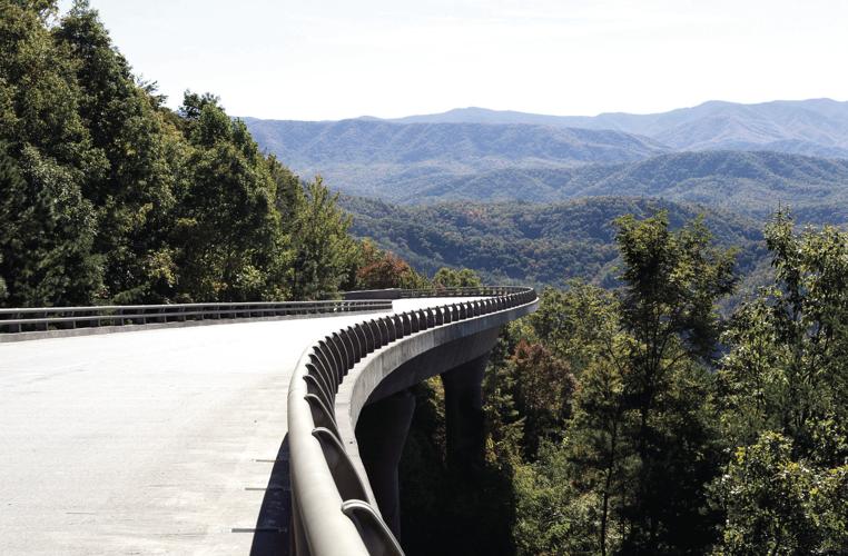 Completing the 'Missing Link:' A 'remarkable feeling' | News ...