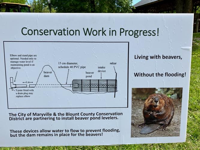 Conservation district installs levelers in local beaver dams | News ...