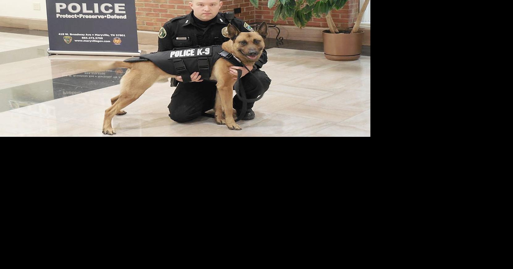Maryville Police K9s get bullet, stab proof vests | News ...