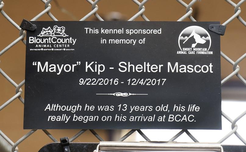 Blount County Animal Center dedicates kennel to celebrate life of Kip ...