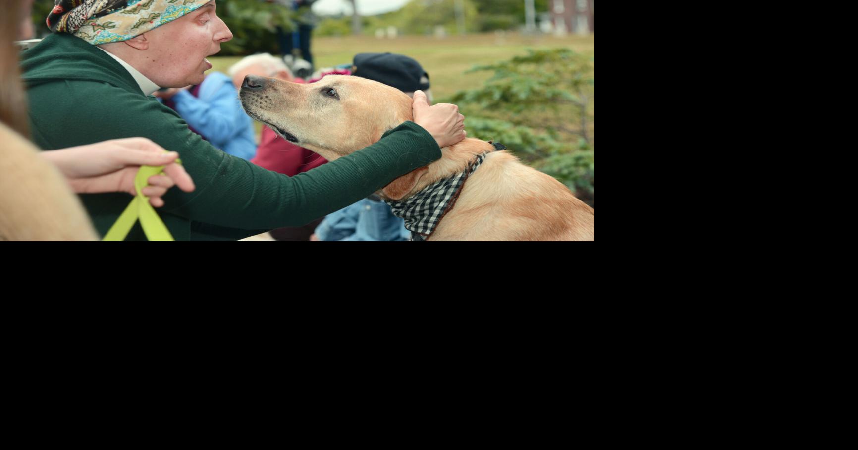 Pet blessings event brings out lots of pets | Community | thedailytimes.com