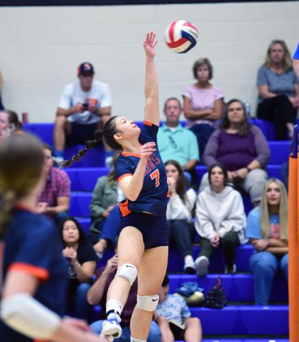 William Blount volleyball tops Farragut for grueling five-set victory ...