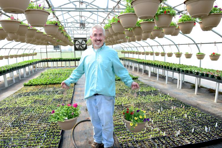 William Blount High School plant sale begins this week | Community ...