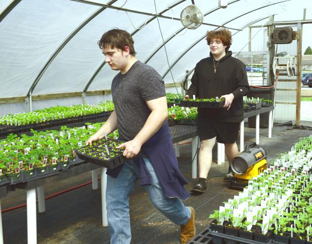 William Blount High School plant sale begins this week | Community ...