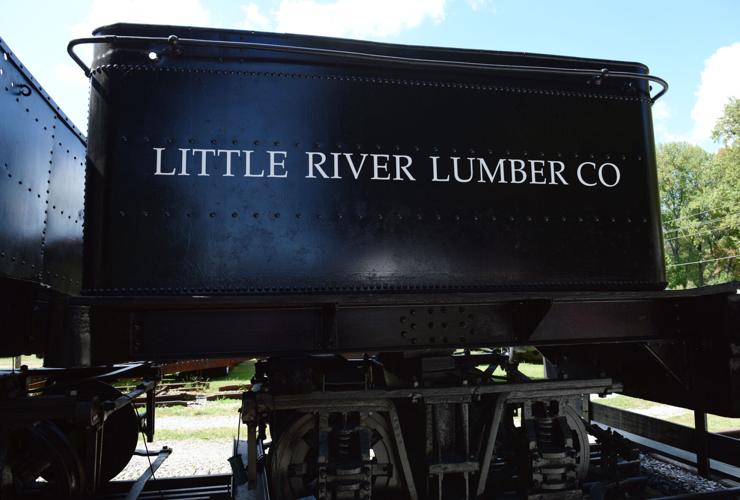 GALLERY: Railroad Days — Big fun on Little River Railroad | Gallery ...