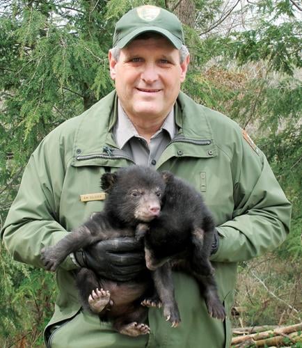 Bear expertise; Kim DeLozier named leader of BearWild | News ...