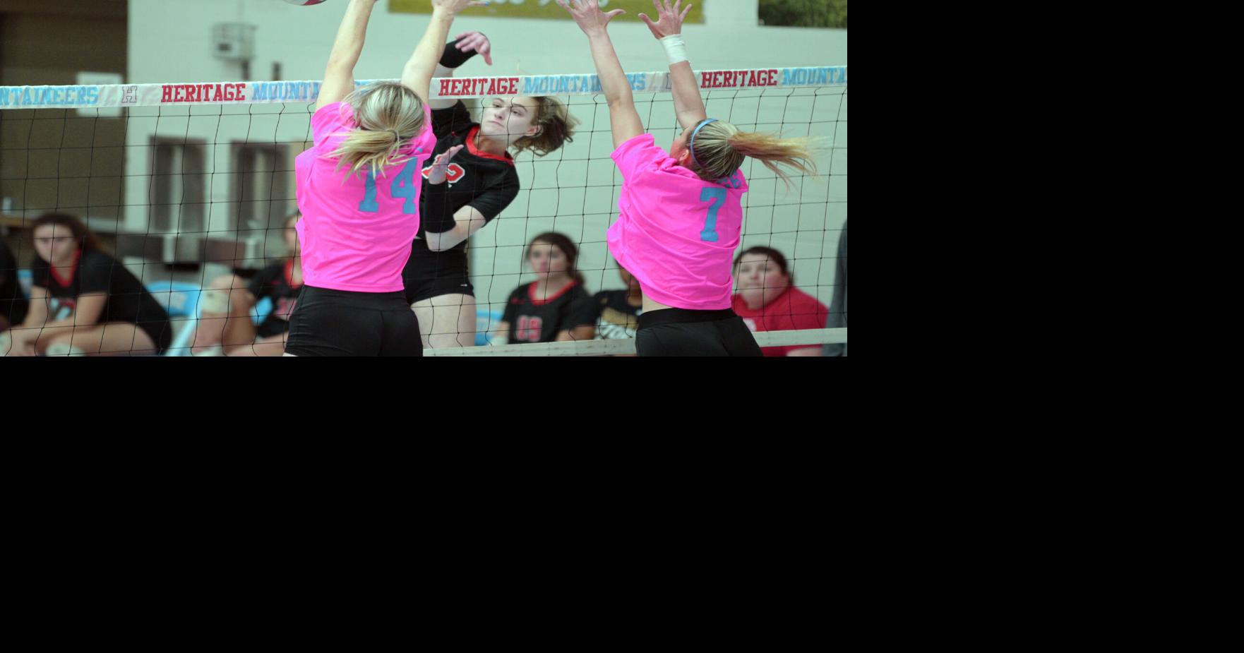 Three local volleyball players reach career milestones during Blount County Championship ...