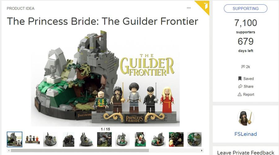 Taking it to the next level: Blount teen creates Lego set of 'Princess ...