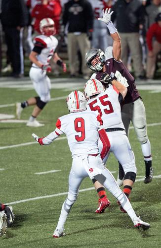 Alcoa alum Landon Ray helped power Bisons to D2 national title | Sports ...