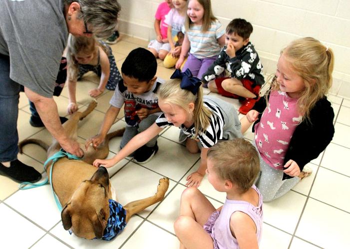 All smiles for belly rubs: Eagleton students collecting pet food ...