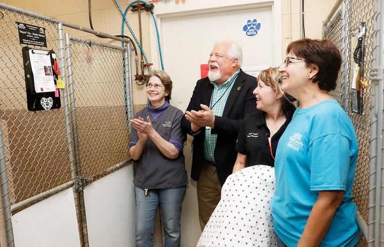 Blount County Animal Center dedicates kennel to celebrate life of Kip ...