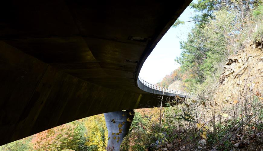A look inside 'Missing Link' Bridge 2 | News | thedailytimes.com