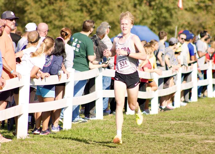 Mitchey, Thomas and Babbit went wire-to-wire as area's top runners ...