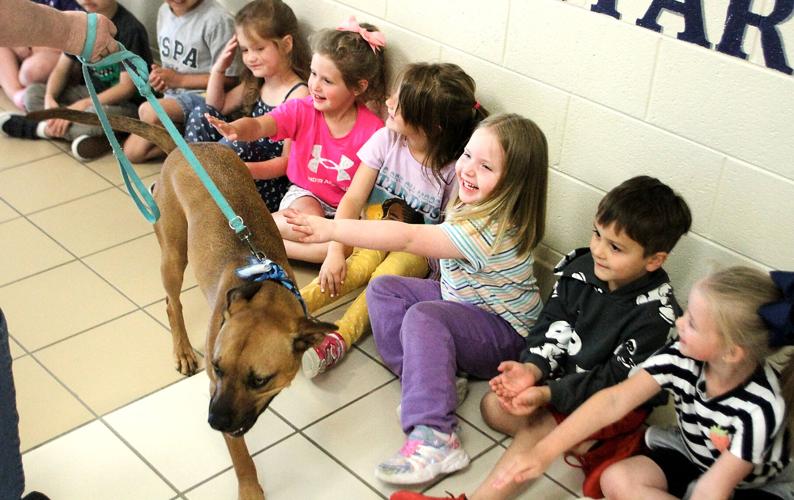 All smiles for belly rubs: Eagleton students collecting pet food ...