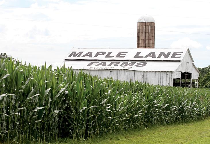 farm stuff with darrell