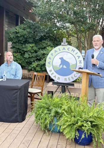 Bears once more: Appalachian Bear Rescue, TWRA sign agreement to ...