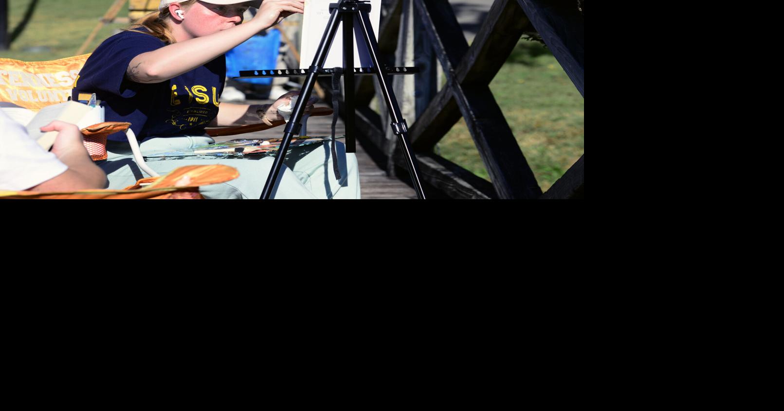 Quick Draw competition brings artists to downtown Maryville for final ...