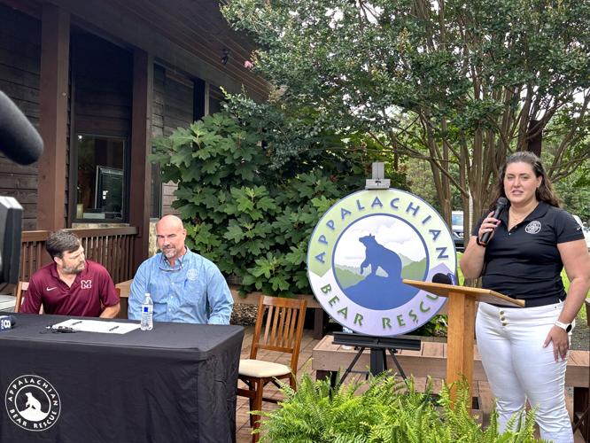 Bears once more: Appalachian Bear Rescue, TWRA sign agreement to ...