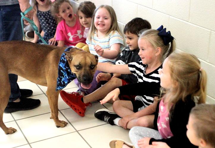 All smiles for belly rubs: Eagleton students collecting pet food ...