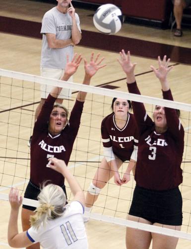Alcoa's Lilly Long and Jaylyn Halliburton | | thedailytimes.com