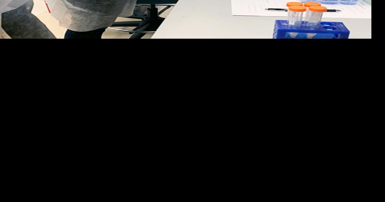 Maryville High School's Grace Pepperman wins national essay contest ...