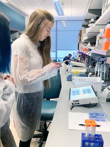 Maryville High School's Grace Pepperman wins national essay contest ...