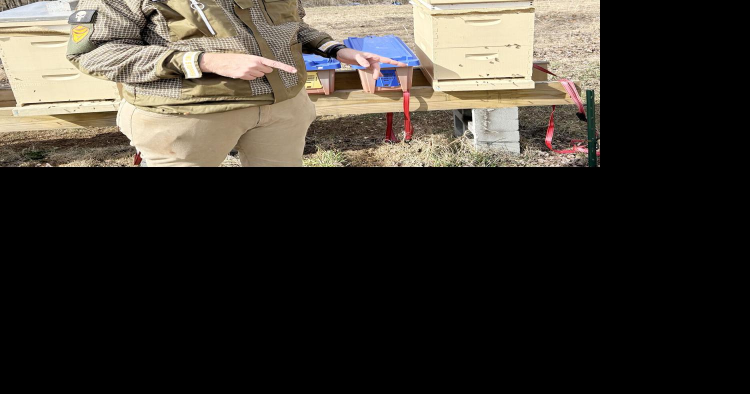 Abuzz with activity: Beekeepers presenting short course for others ...