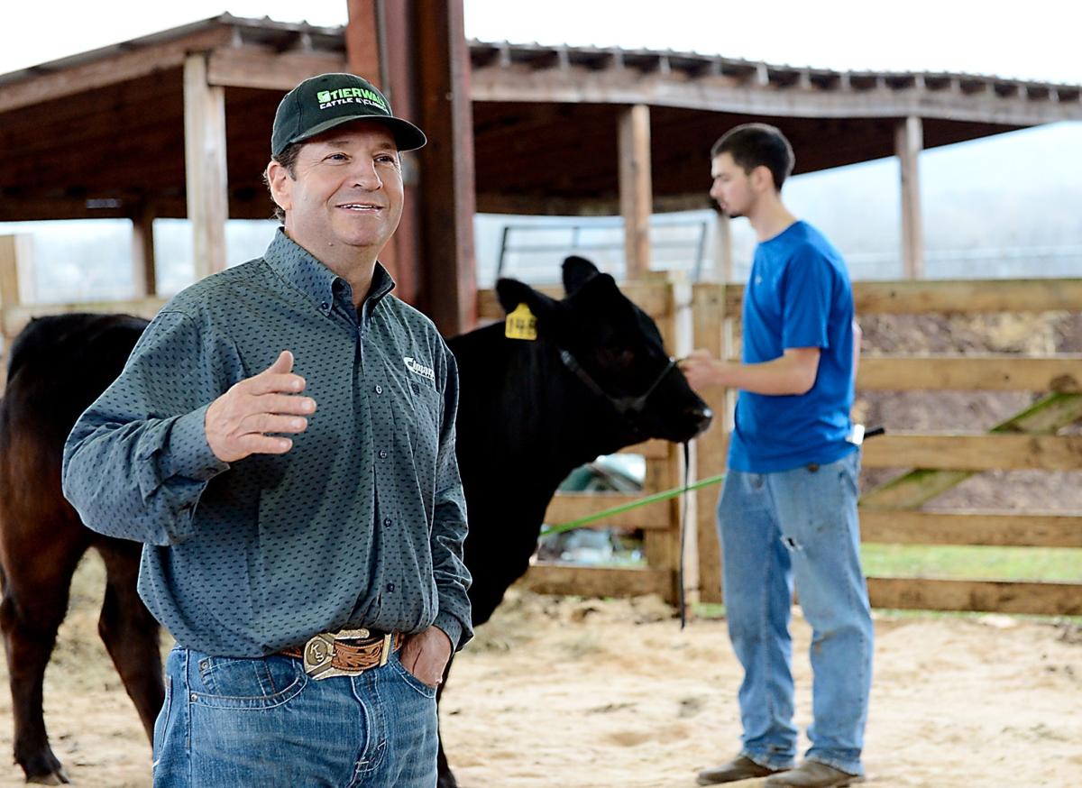 Cattle expert teaches students 'show' business | News | thedailytimes.com