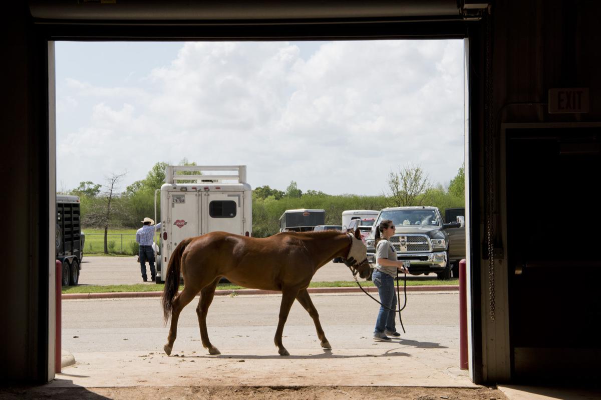 Texas A&M Rodeo