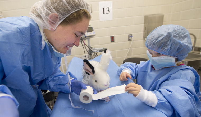 Texas A&M vet school shows off facilities, animals and profession ...