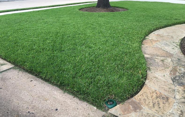 Skip Richter column: Lawn mowers, grass clippings are your friend