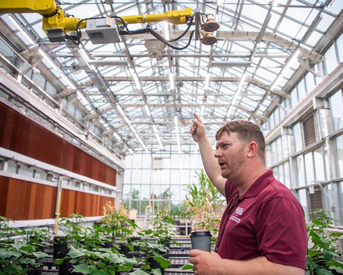 Producers share thoughts on AI in agriculture