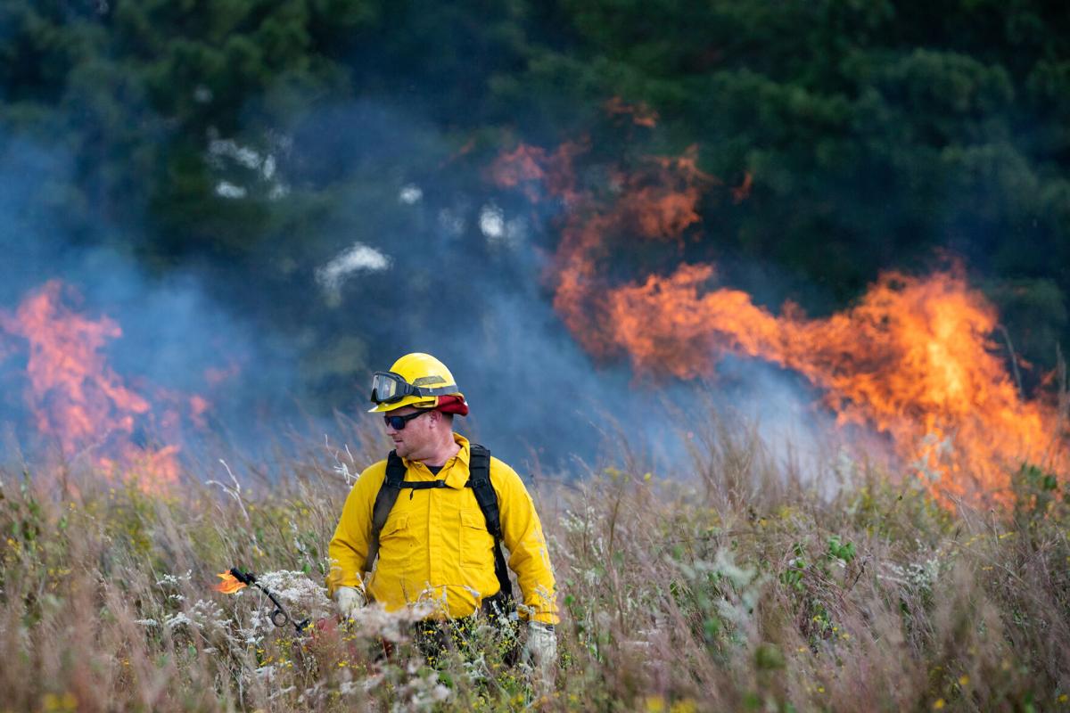 Prescribed burns can be effective for Texas' woody plants