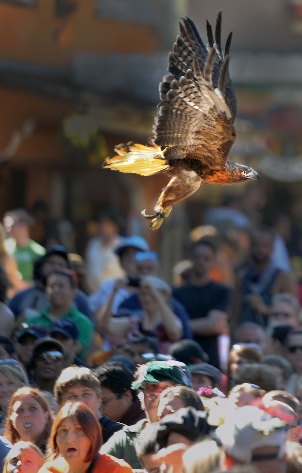 Texas RenFest celebrates 40 years of feudal fun