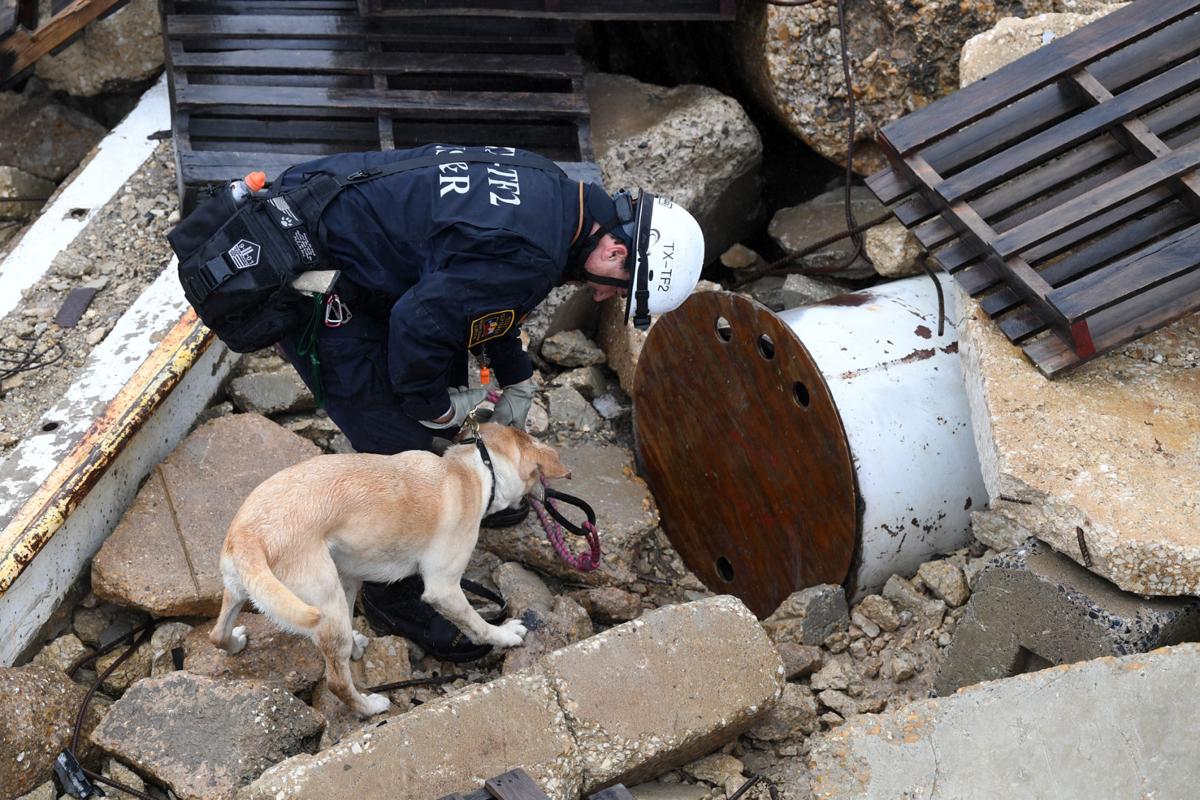 Canine Search and Rescue Training