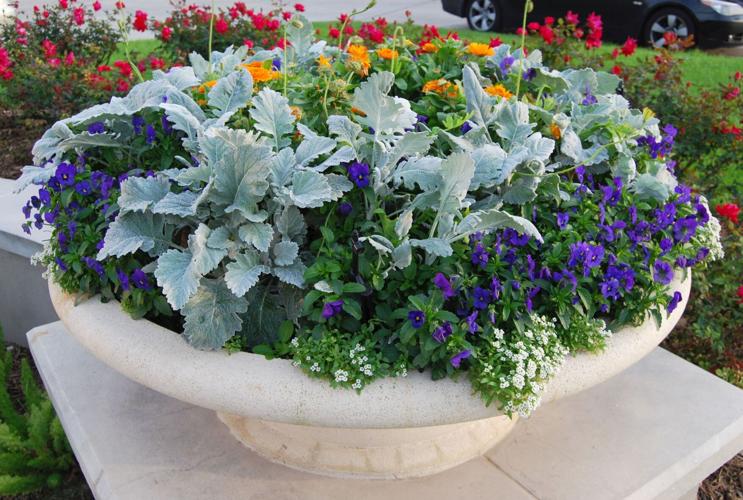 Skip Richter column: Garden checklist before the first freeze