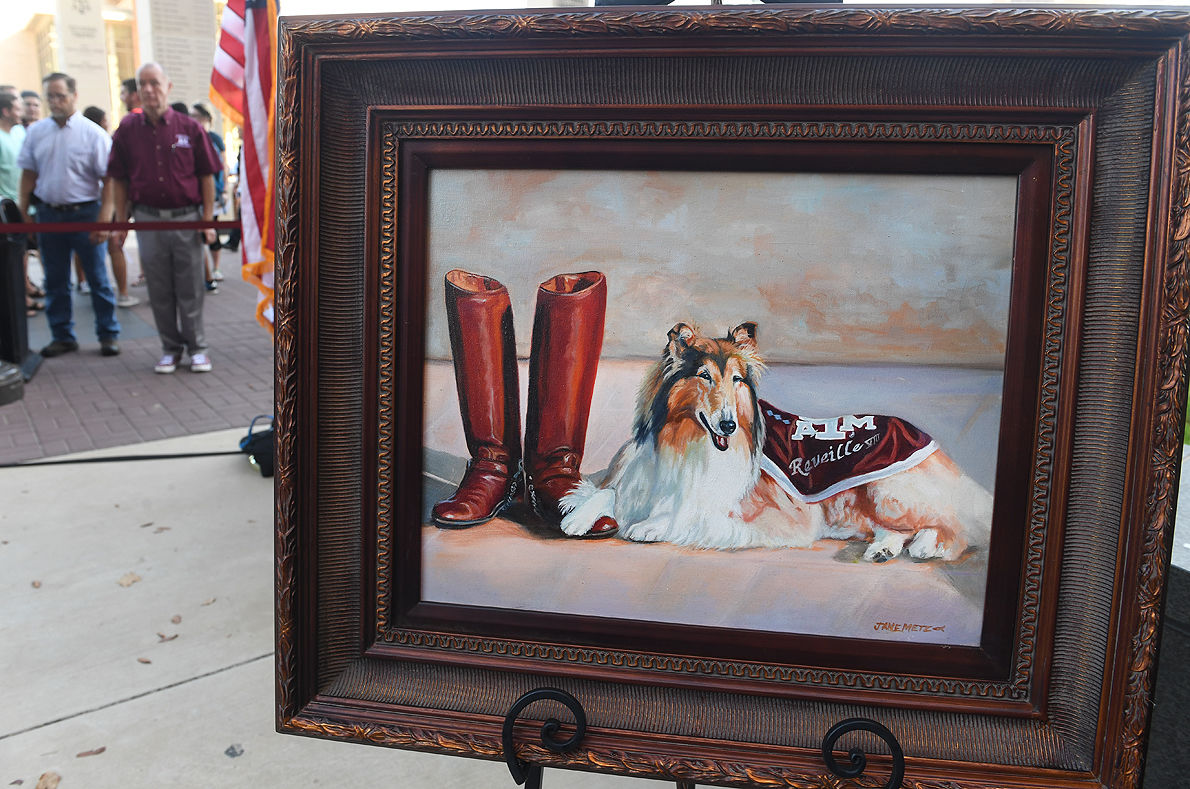 Reveille VIII laid to rest outside Kyle Field | Texas A&M | theeagle.com