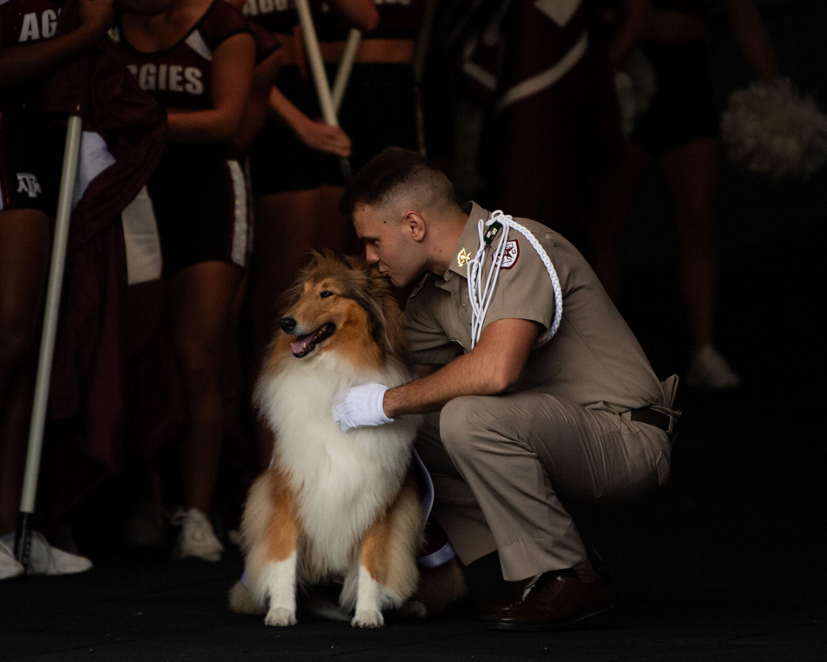 Reveille X runs out with Aggies after a summer eye surgery