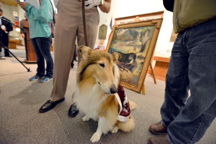 Texas A&M welcomes back Reveille I painting with re-unveiling ceremony