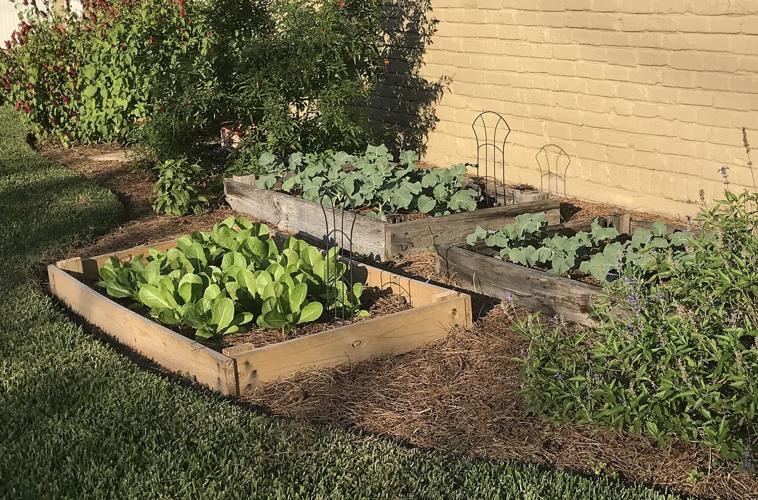 Skip Richter column: Gardener’s guide to a greener thumb in 2023