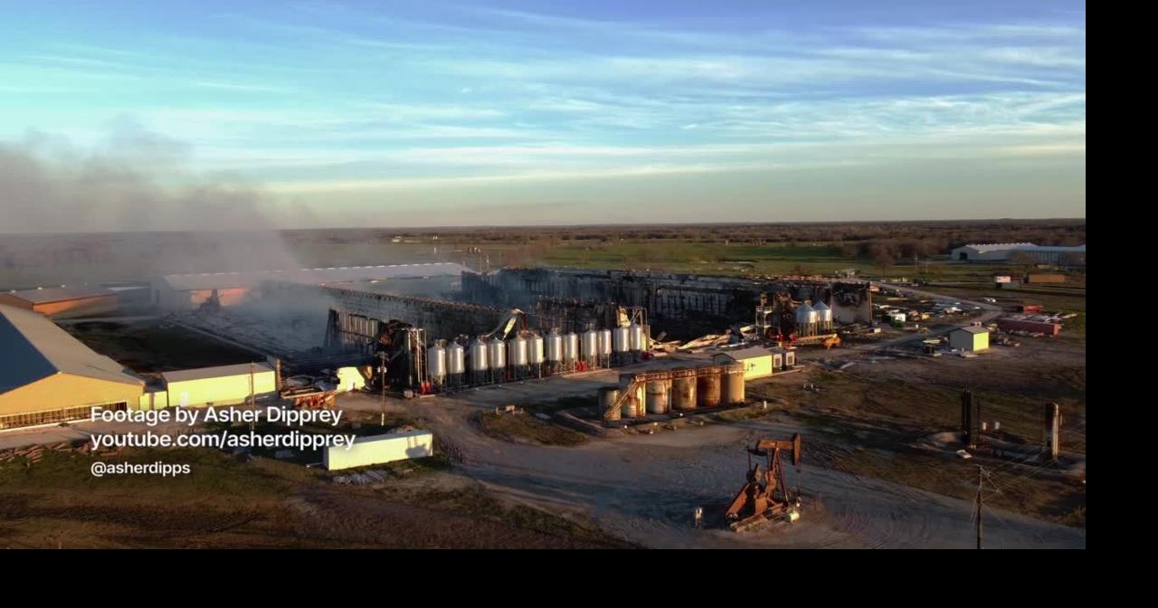 Watch: Aftermath of Feather Crest chicken farm fire