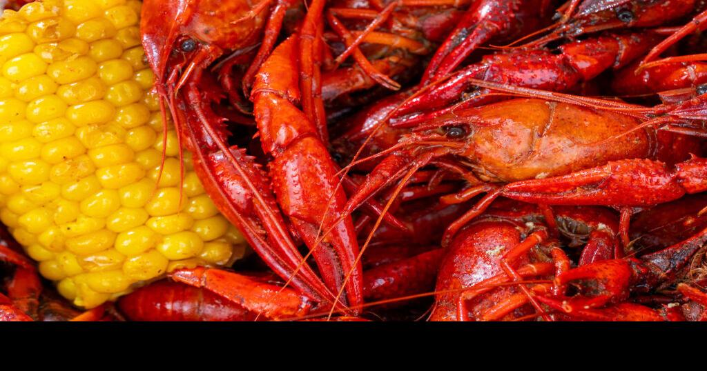 Multiple factors, including severe drought, result in meager crawfish ...