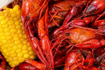 Multiple factors, including severe drought, result in meager crawfish ...
